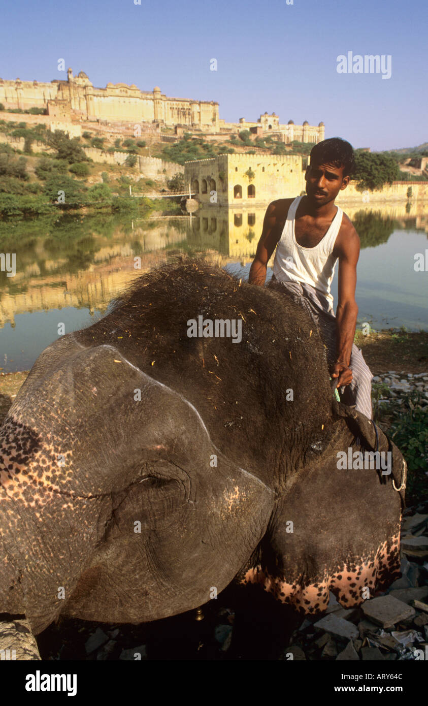 Elephant rider hi-res stock photography and images - Alamy