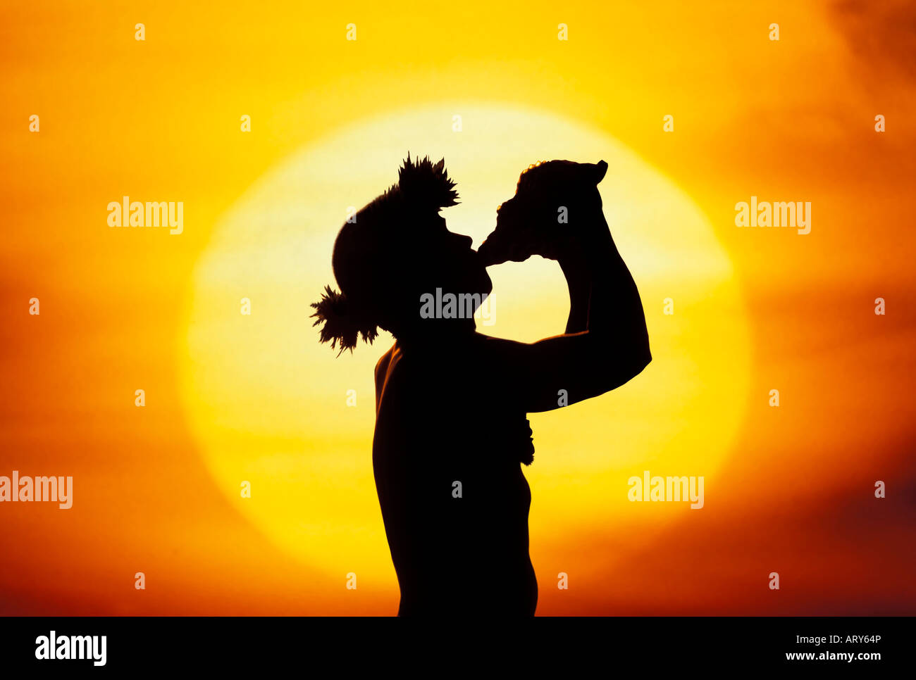 Hawaiian conch blower hi-res stock photography and images - Alamy