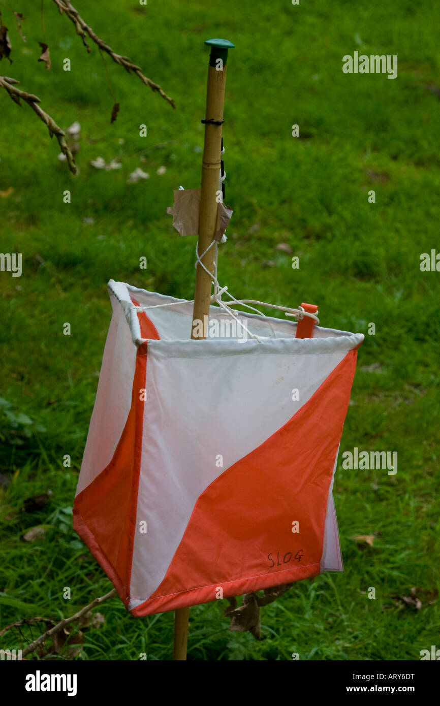 Orienteering waypoint course marker flag Stock Photo - Alamy Orienteering waypoint course marker flag Stock Photo - Alamy