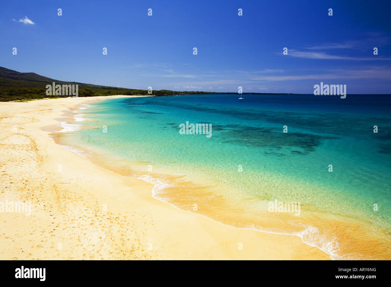 A beautiful day at Big Beach, Makena State Park, Maui Stock Photo - Alamy