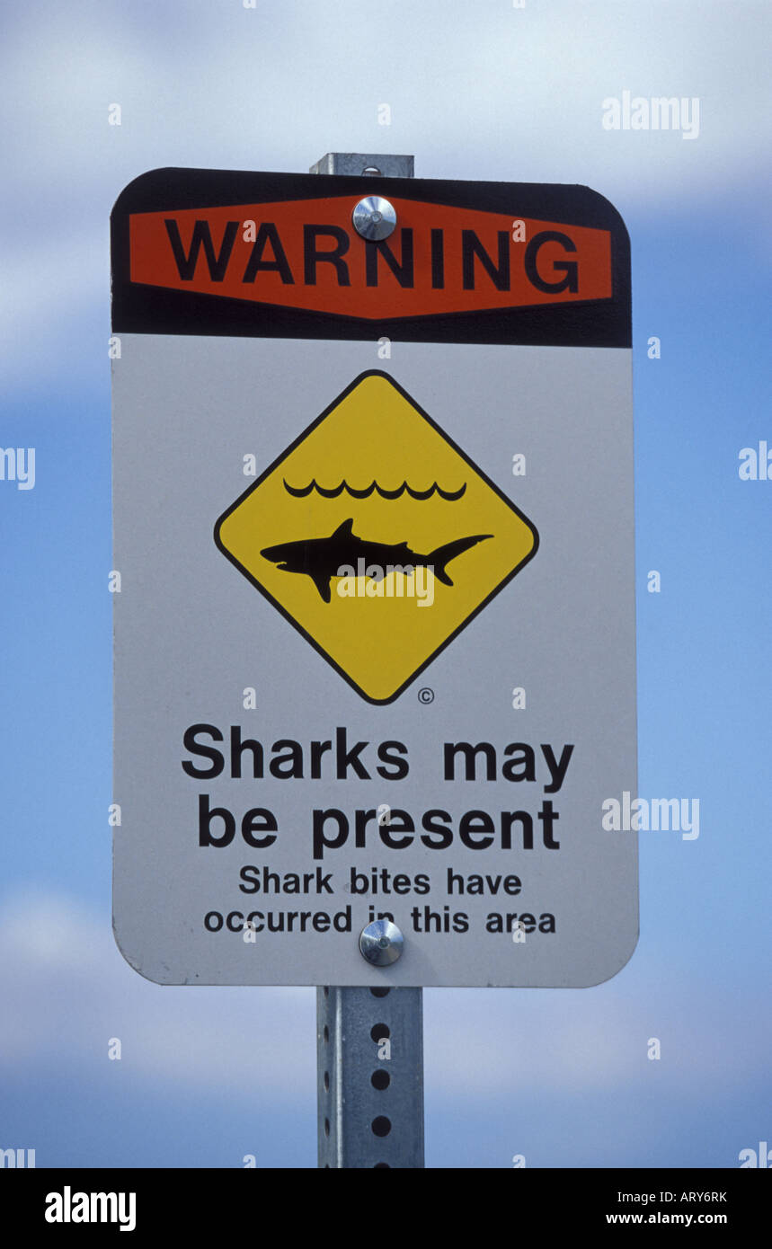 Warning sharks may be present sign posted at Olowalu, Maui. Shark ...