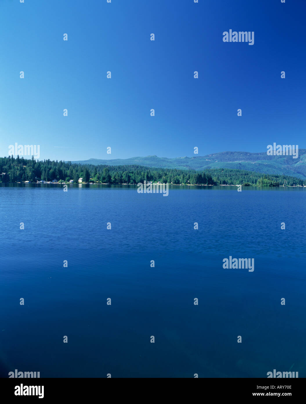 Sproat Lake Provincial Park in British Columbia Canada Stock Photo - Alamy