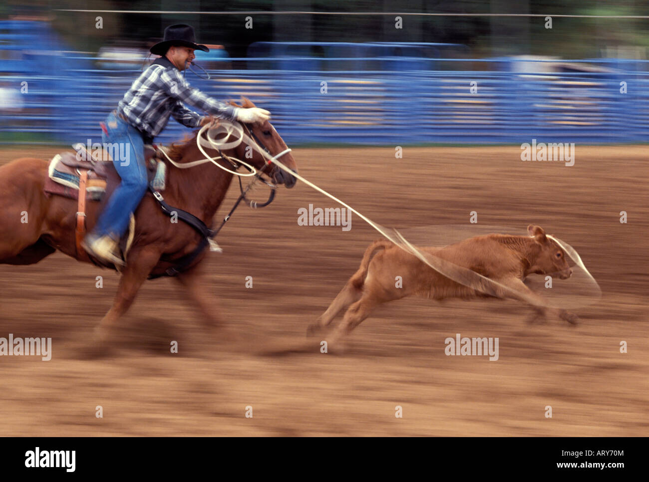 Makawao rodeo hi-res stock photography and images - Alamy