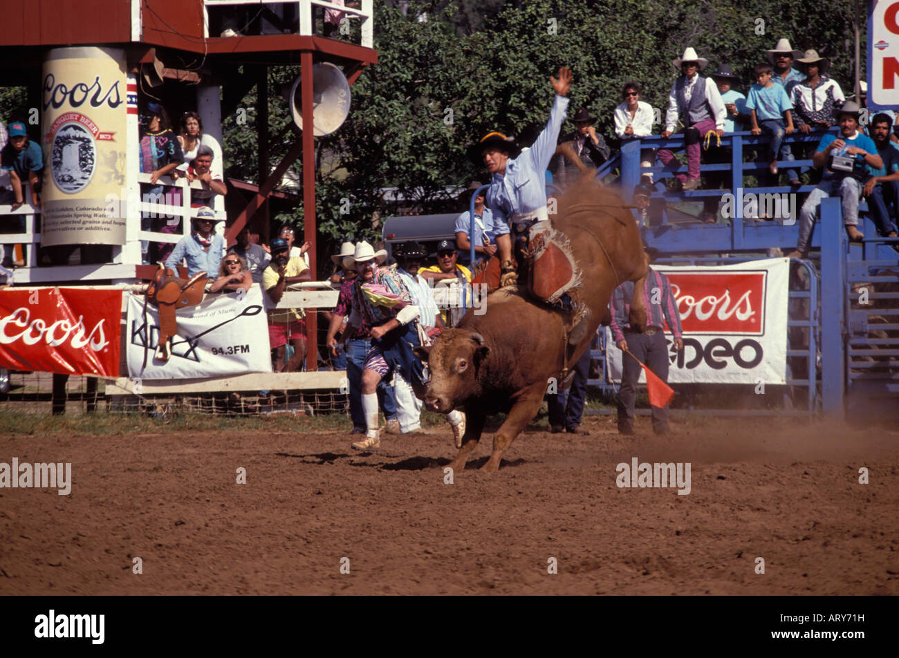 Fourth of July means rodeo time in Makawao, Maui Stock Photo - Alamy