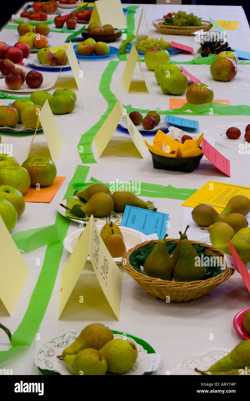 Apples and pears in produce show with certificates marking first ...