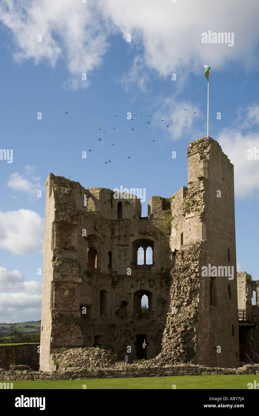 Flying above castle hi-res stock photography and images - Alamy