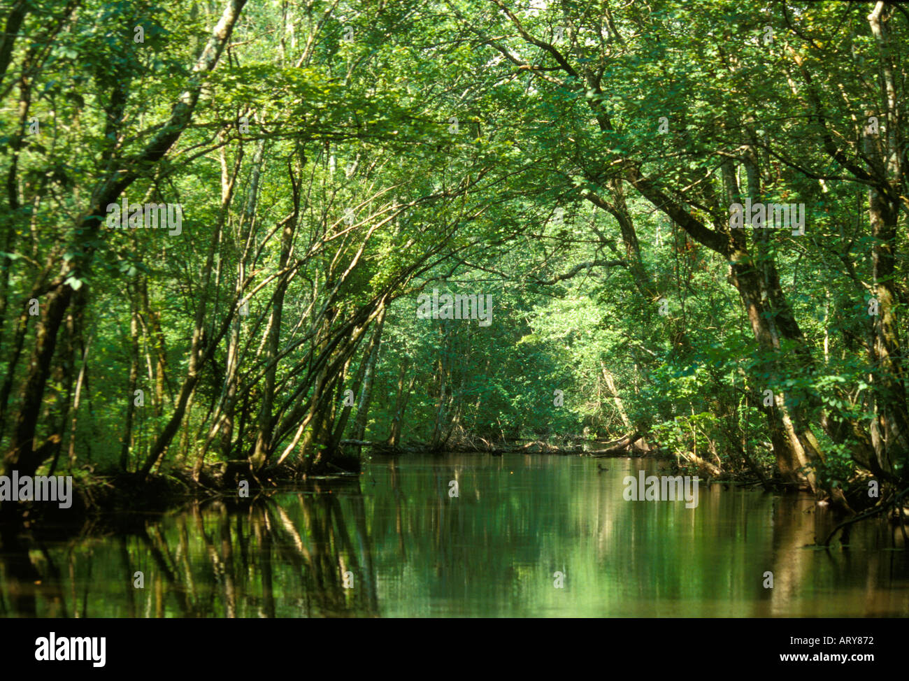 Rural louisiana hi-res stock photography and images - Alamy