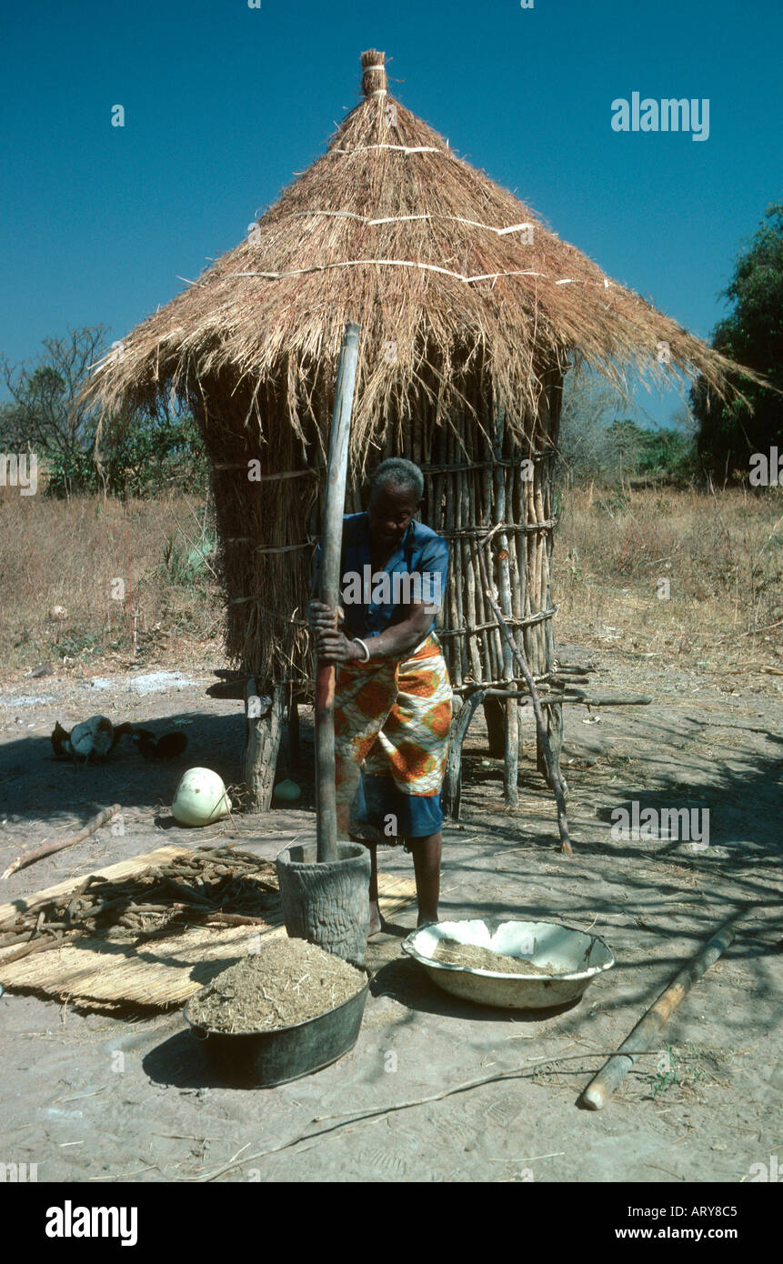 African women pounding maize hi-res stock photography and images - Alamy