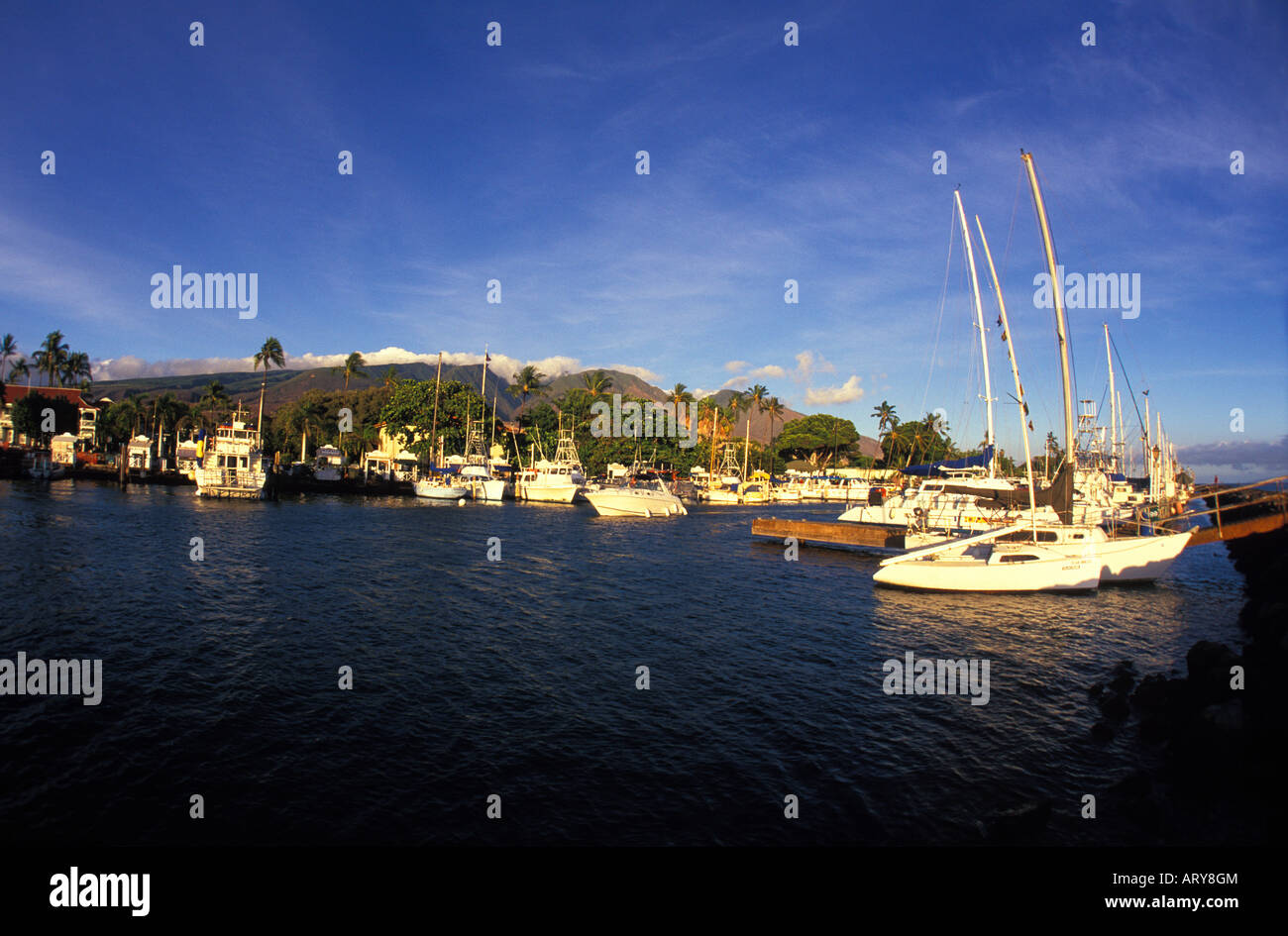 Scenic Lahaina Harbor. Located in the historic whaling town of Lahaina ...
