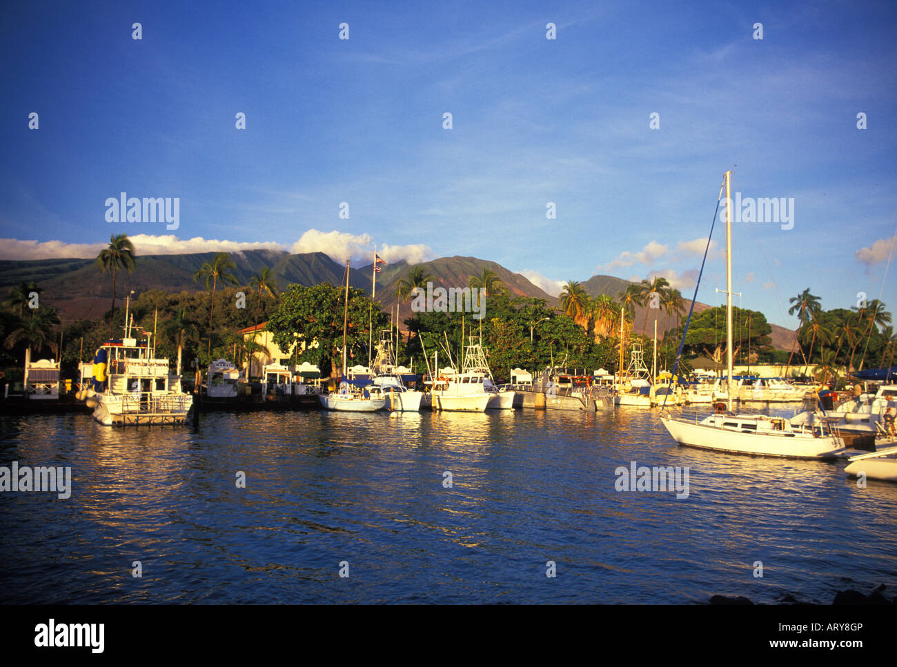 Scenic Lahaina Harbor. Located in the historic whaling town of Lahaina ...