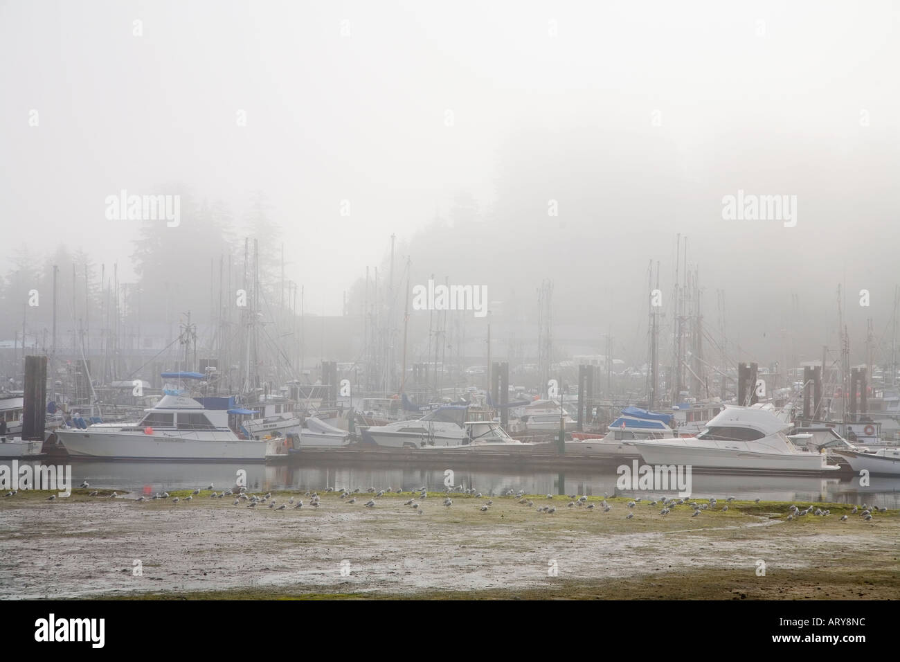 Fogbound hi-res stock photography and images - Alamy