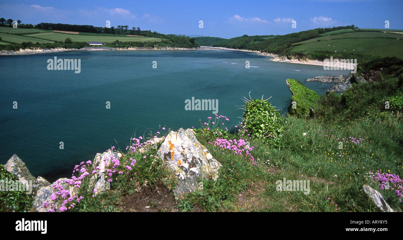 The mouth of the River Erme, South Devon Stock Photo - Alamy