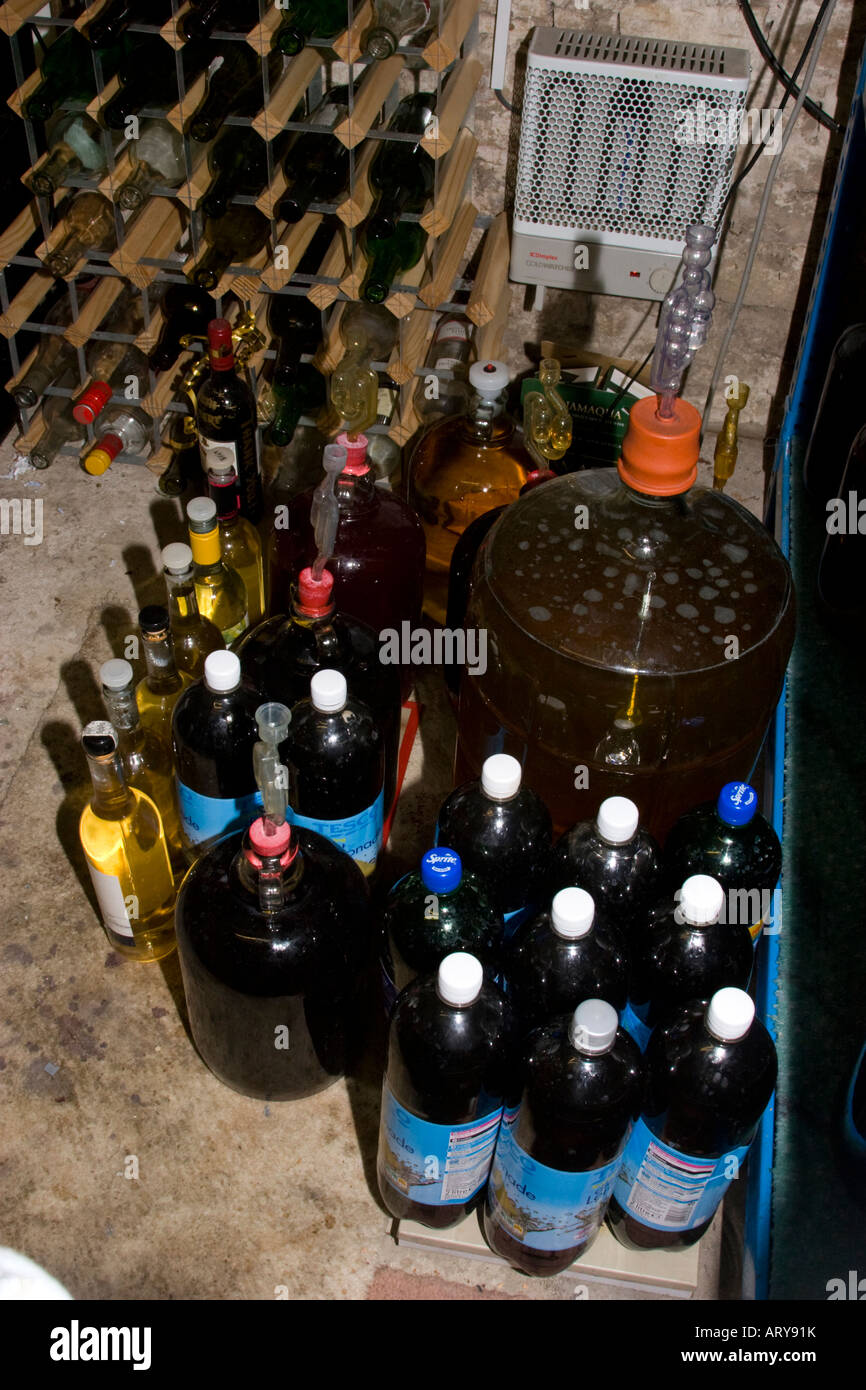 Home brew cellar with fermentation demijohns containing wine and beer ...
