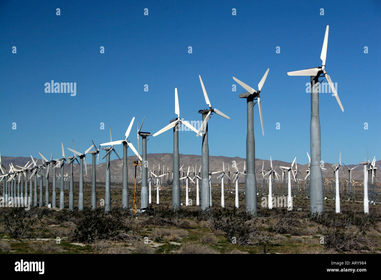 Wind turbines spin across the desert landscape near Palm Springs ...