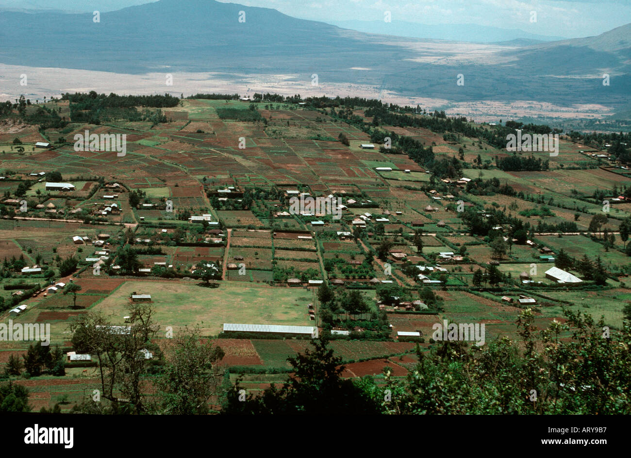 Intensive agricultural development of small holdings on Rift wall Rift ...