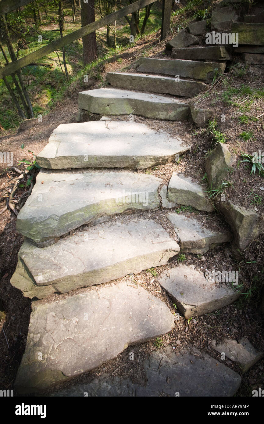 Stone steps Lancashire England Stock Photo - Alamy