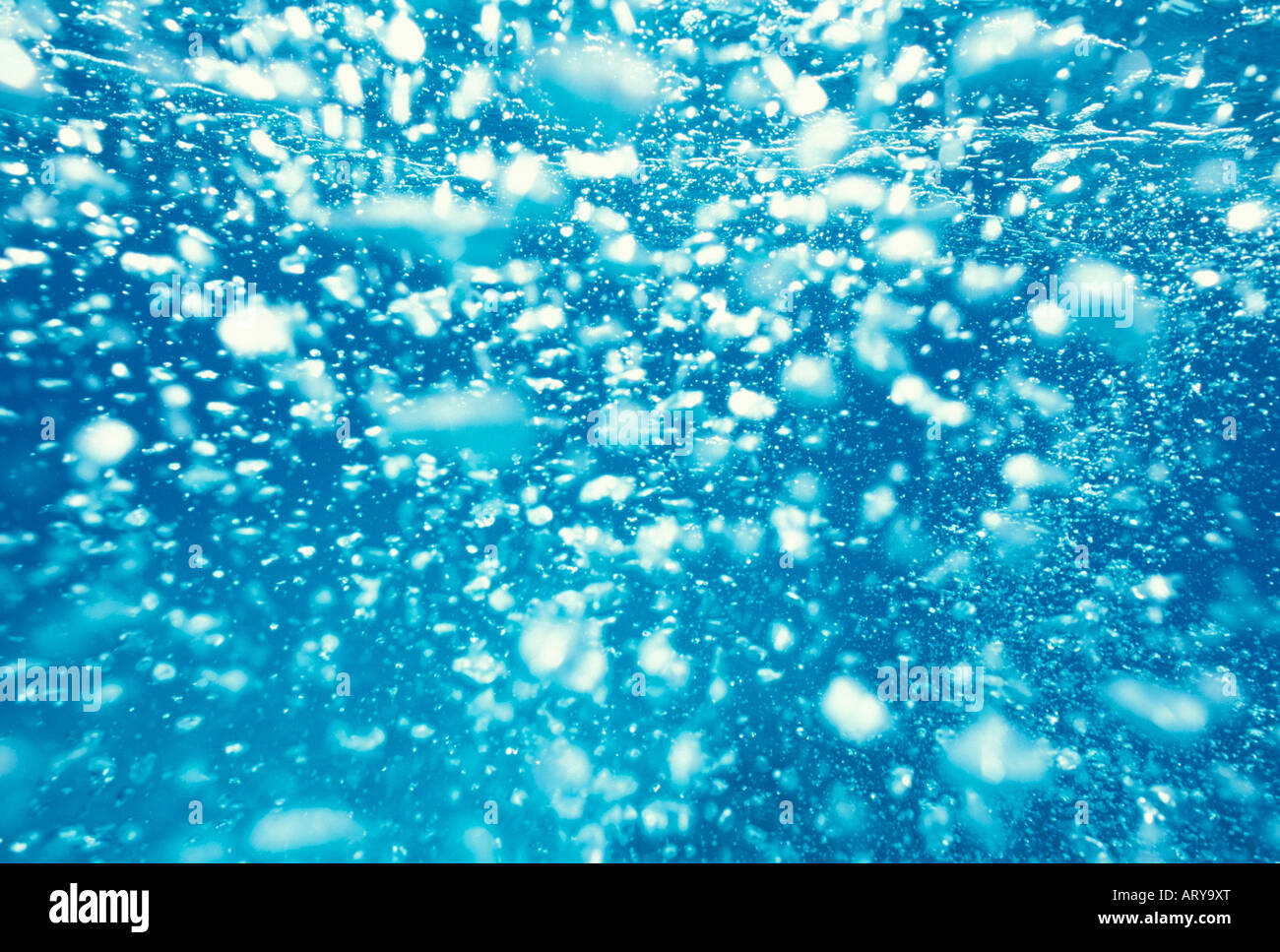 A scuba divers bubbles in the clear blue waters of Hawaii Stock Photo ...
