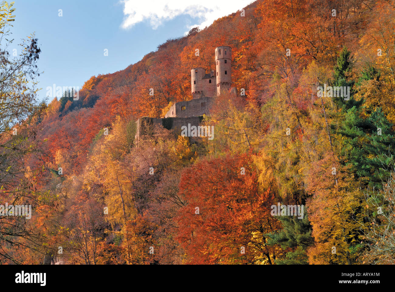Castle Schadeck in Neckarsteinach, Hessen, Germany Stock Photo - Alamy