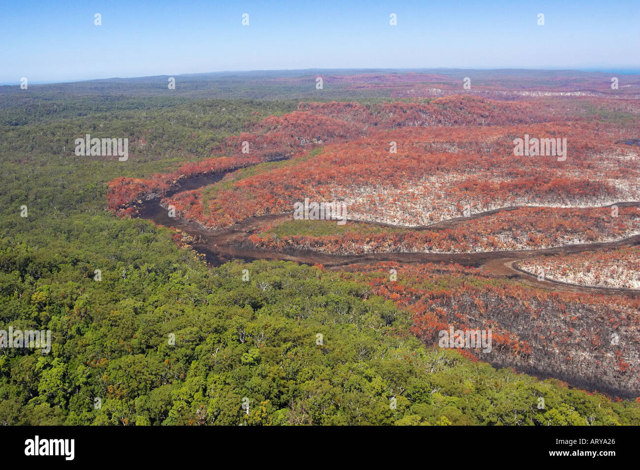 Deforestation australia aerial hi-res stock photography and images - Alamy