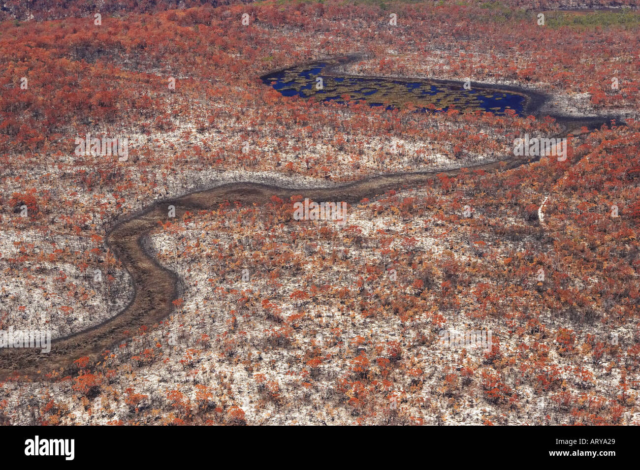 Fraser island bushfire hi-res stock photography and images - Alamy