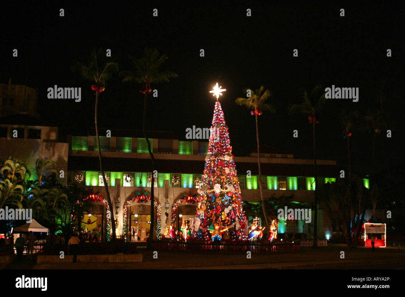 Hawaii christmas tree honolulu hi-res stock photography and images - Alamy