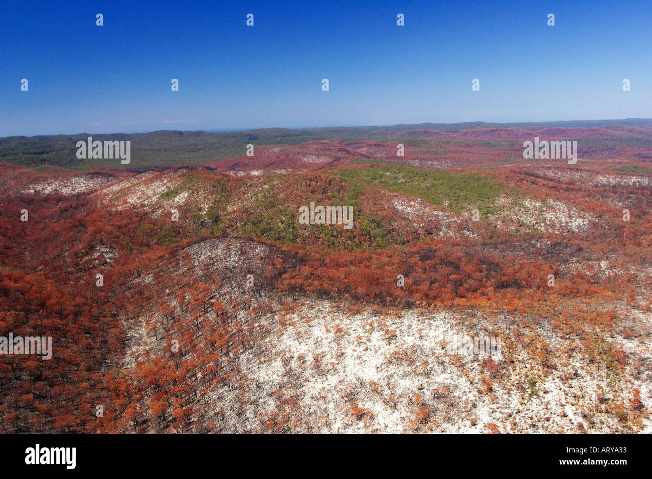 Results of Bush Fire K'gari / Fraser Island Queensland Australia aerial ...