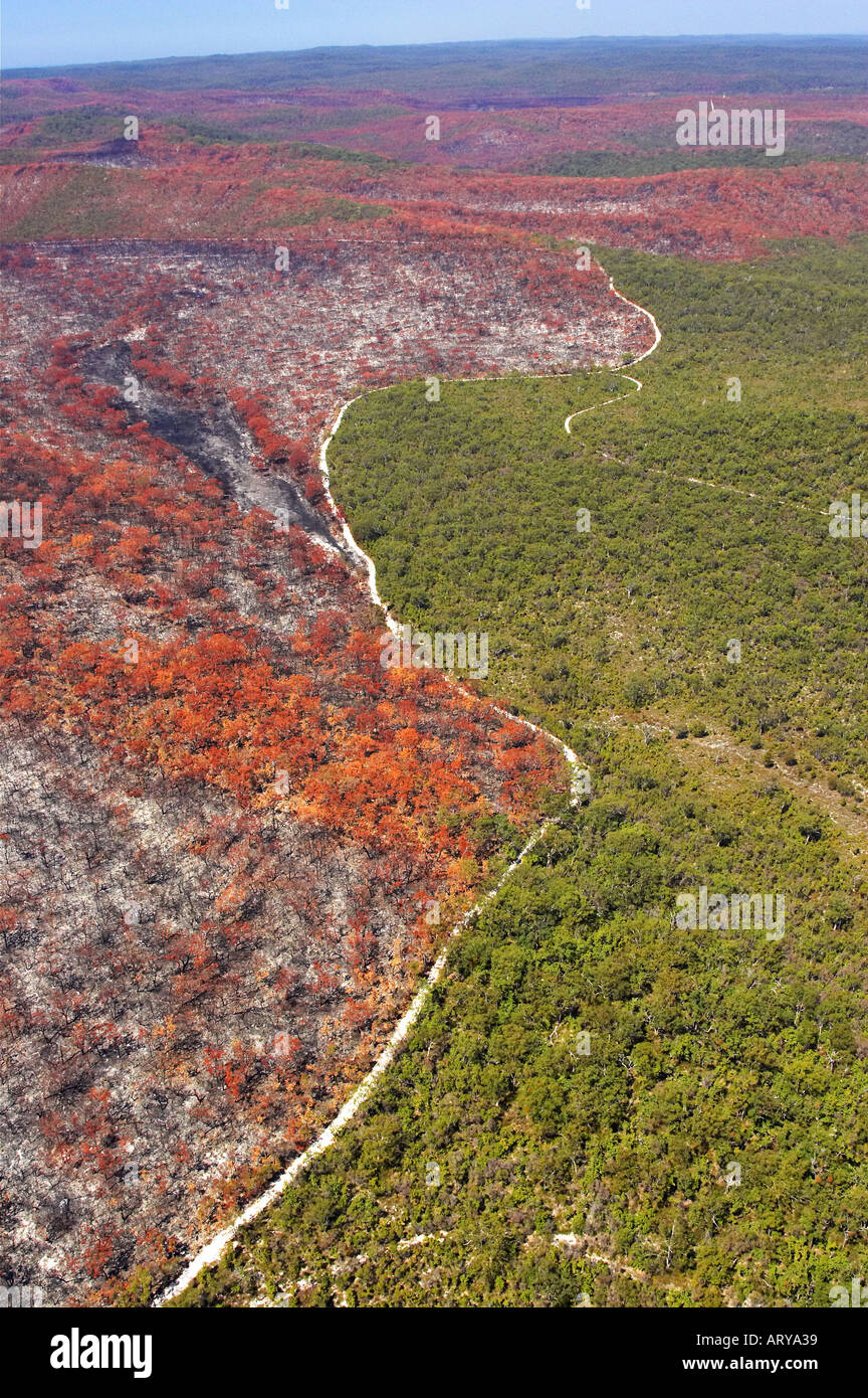 Results of Bush Fire K'gari / Fraser Island Queensland Australia aerial ...