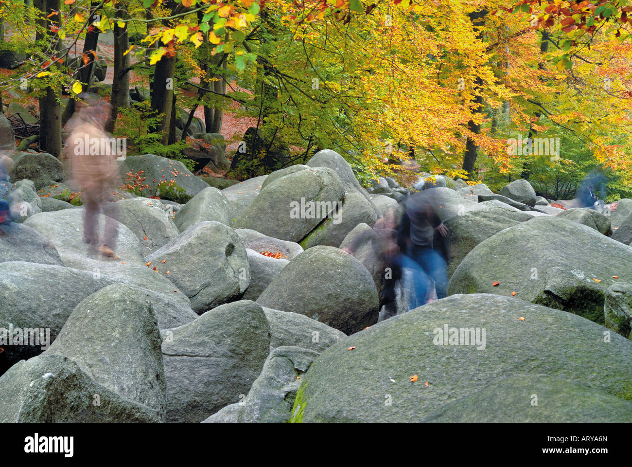 Rocks and giant stones at the Felsenmeer of Reichenbach, Odenwald ...