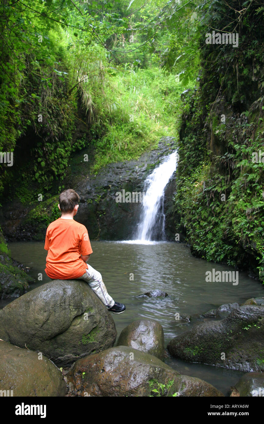 A young boy (age 9) stops to reflect on scenic Maunawili Falls along ...