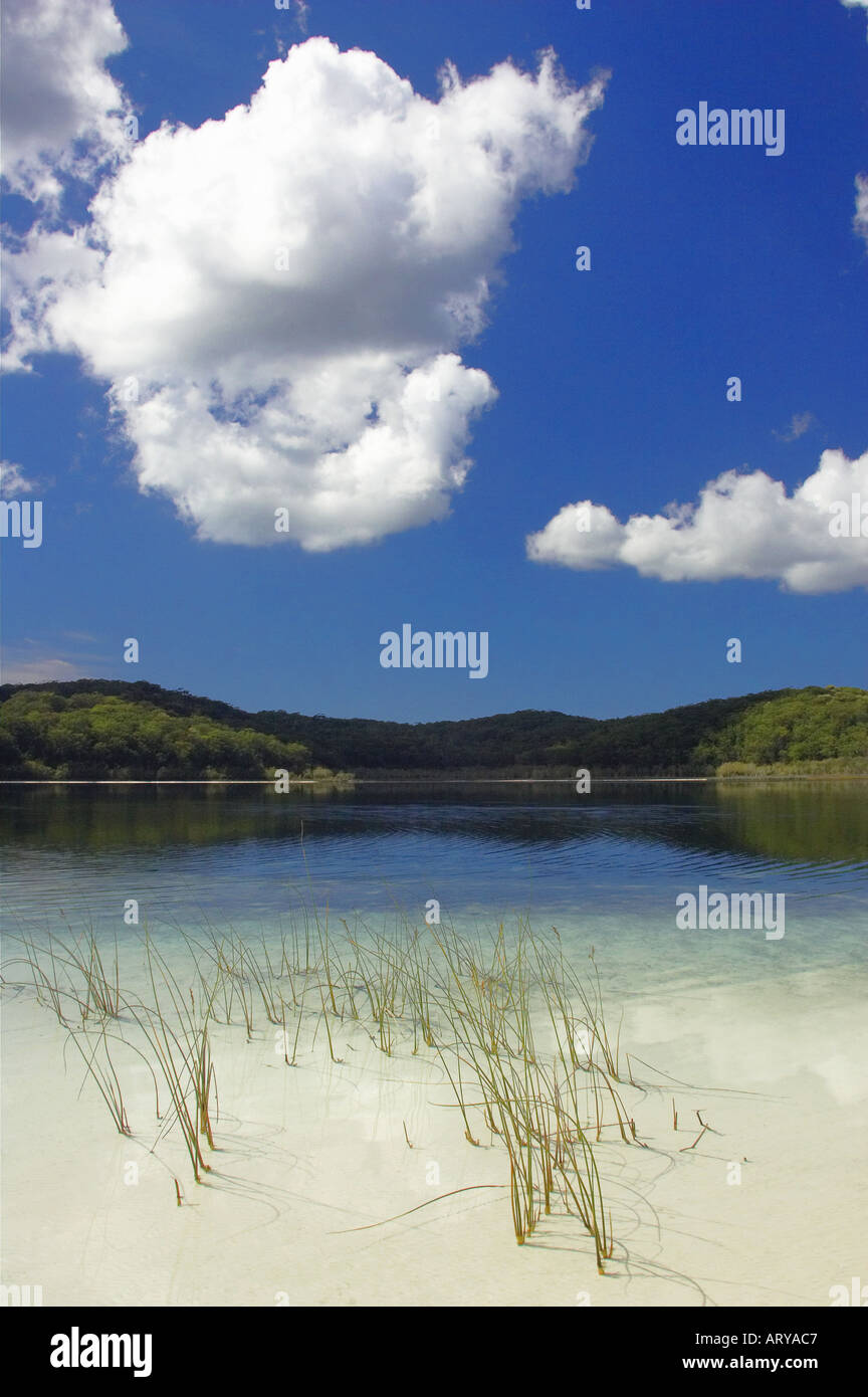 White Sands and Lake Birrabeen K'gari / Fraser Island Queensland ...