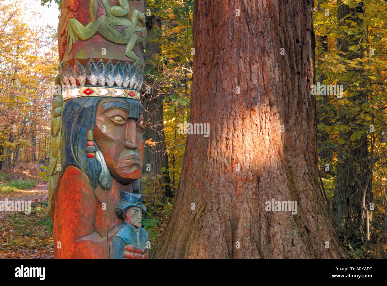 Indian Totem stake and Mammut tree at the public forest “Stadtwald ...