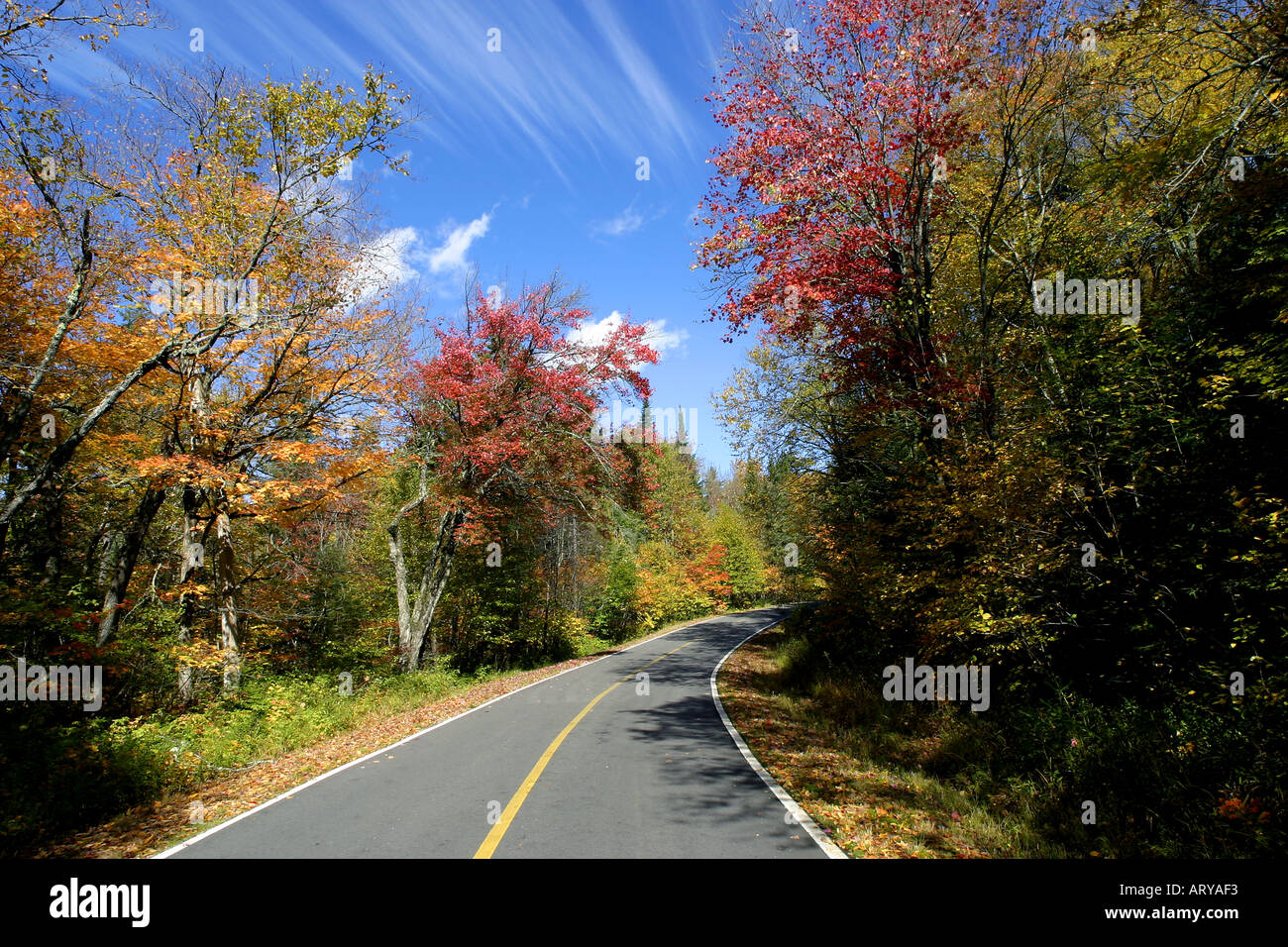 Atumn woods hi-res stock photography and images - Alamy