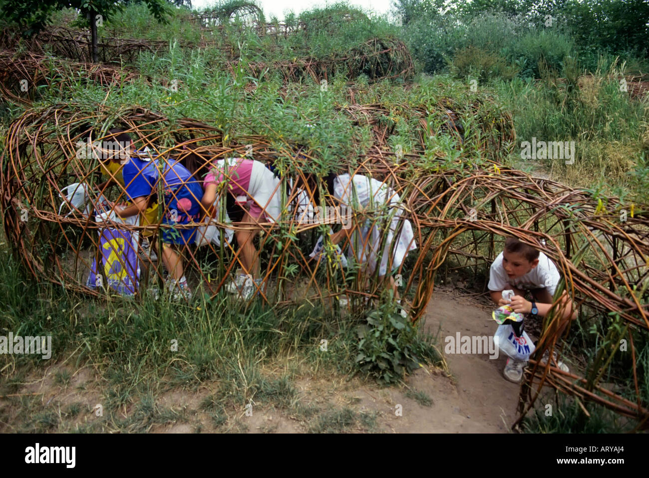Plant maze hi-res stock photography and images - Alamy