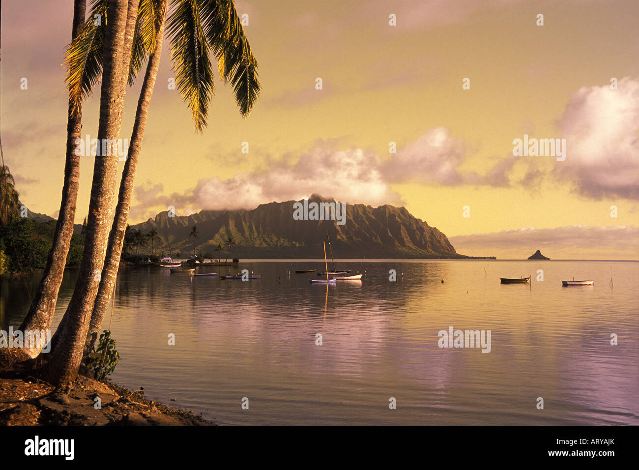 The haloa ridge on the edge of Kaneohe bay at sunrise, near Kualoa ...