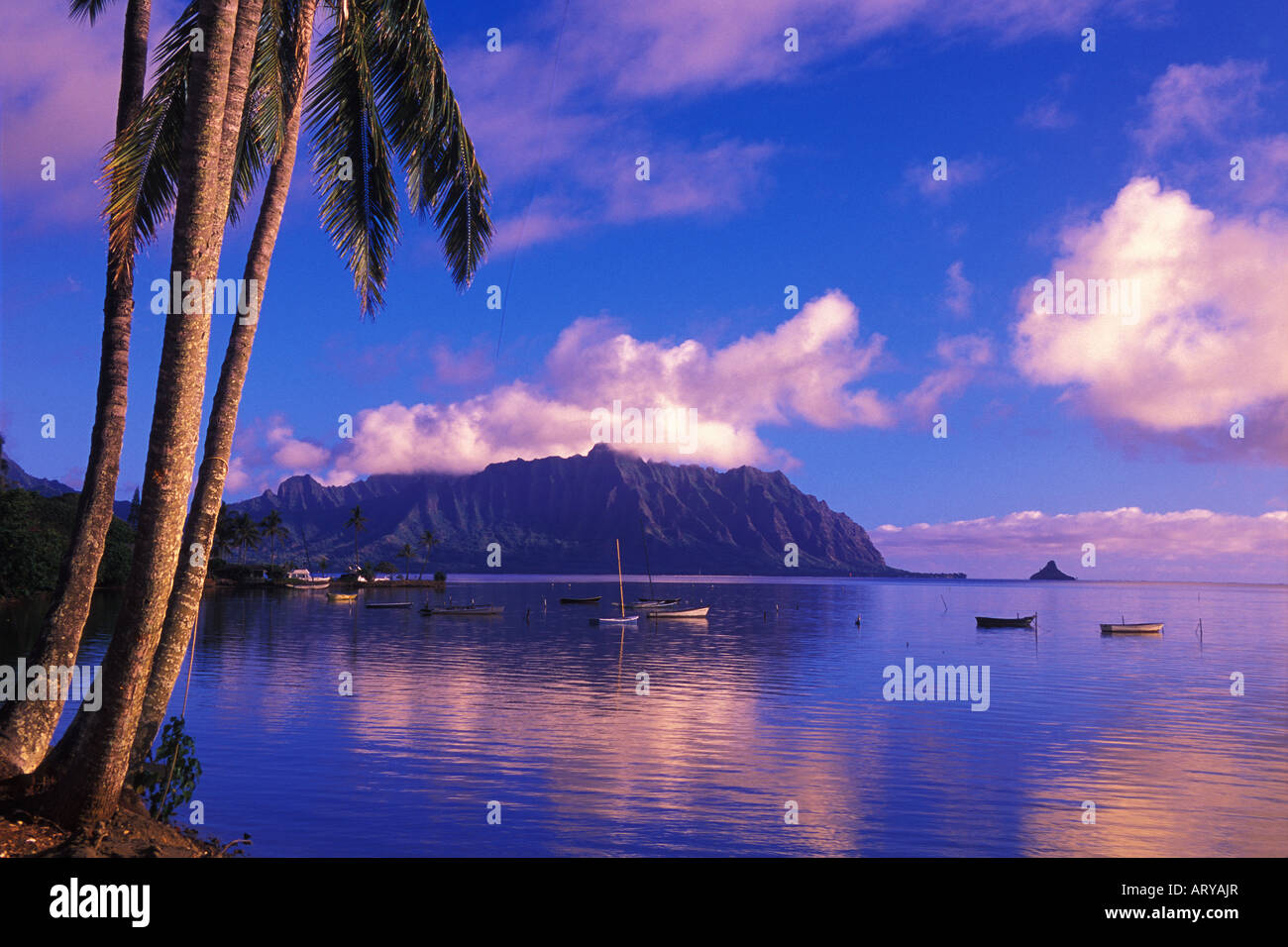 The haloa ridge on the edge of Kaneohe bay at sunrise, near Kualoa ...