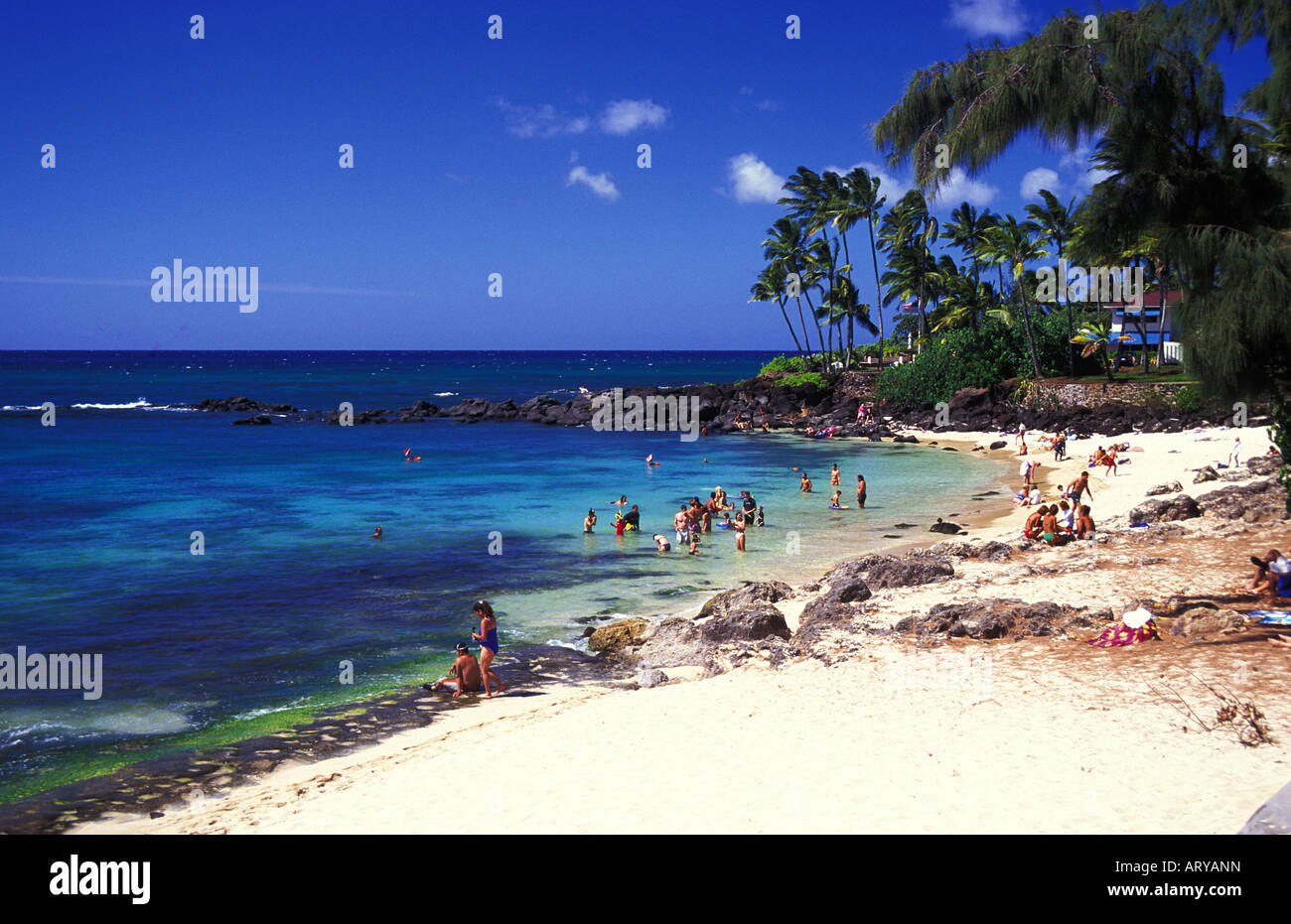 People at laniakea beach, a popular spot where turtles rest on the ...