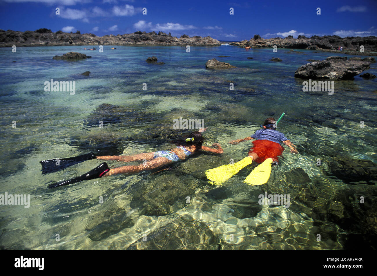 Children age 8, explore tidal pools of Sharks cove (Pupukea) looking ...