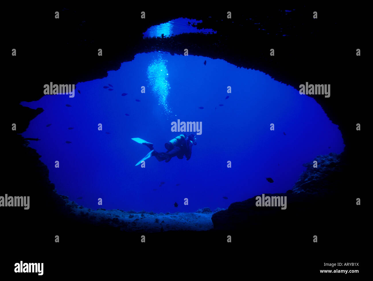 Scuba divers explore lava tubes and other unique geologic formations in ...