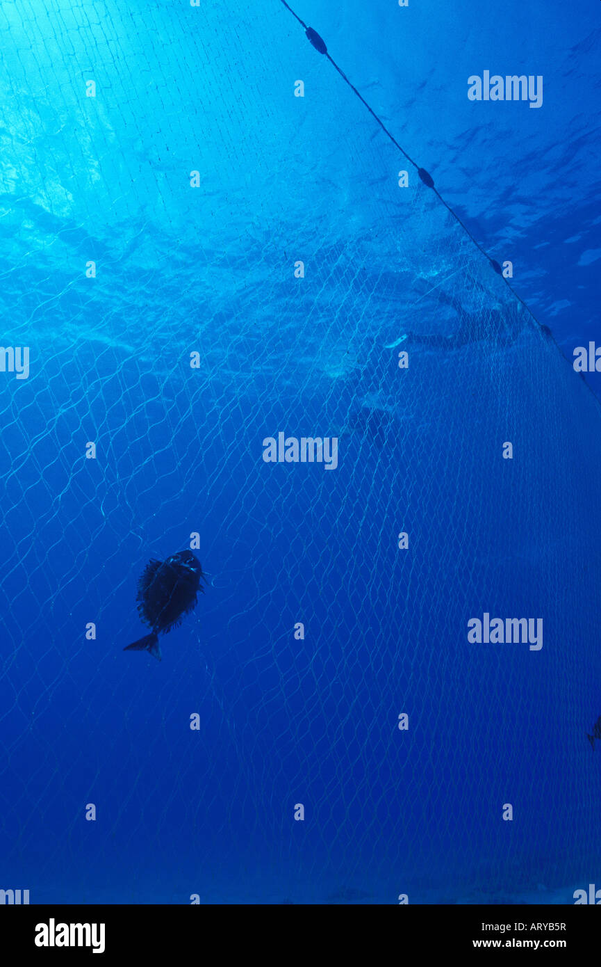 Hawaiis beaches hi-res stock photography and images - Alamy