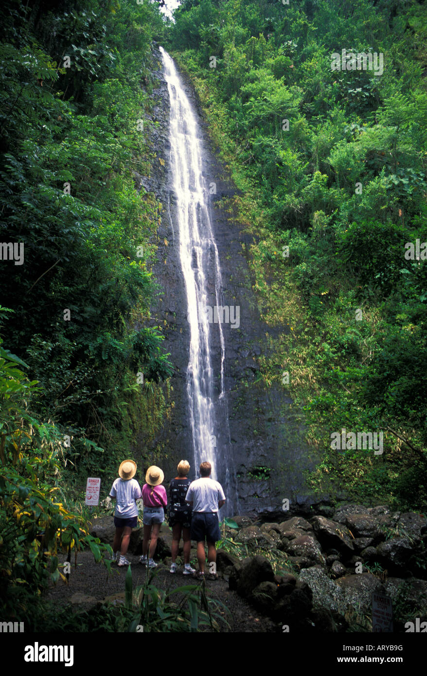 The Trail to Manoa Falls ends in a spectacular view of one of Oahu's ...