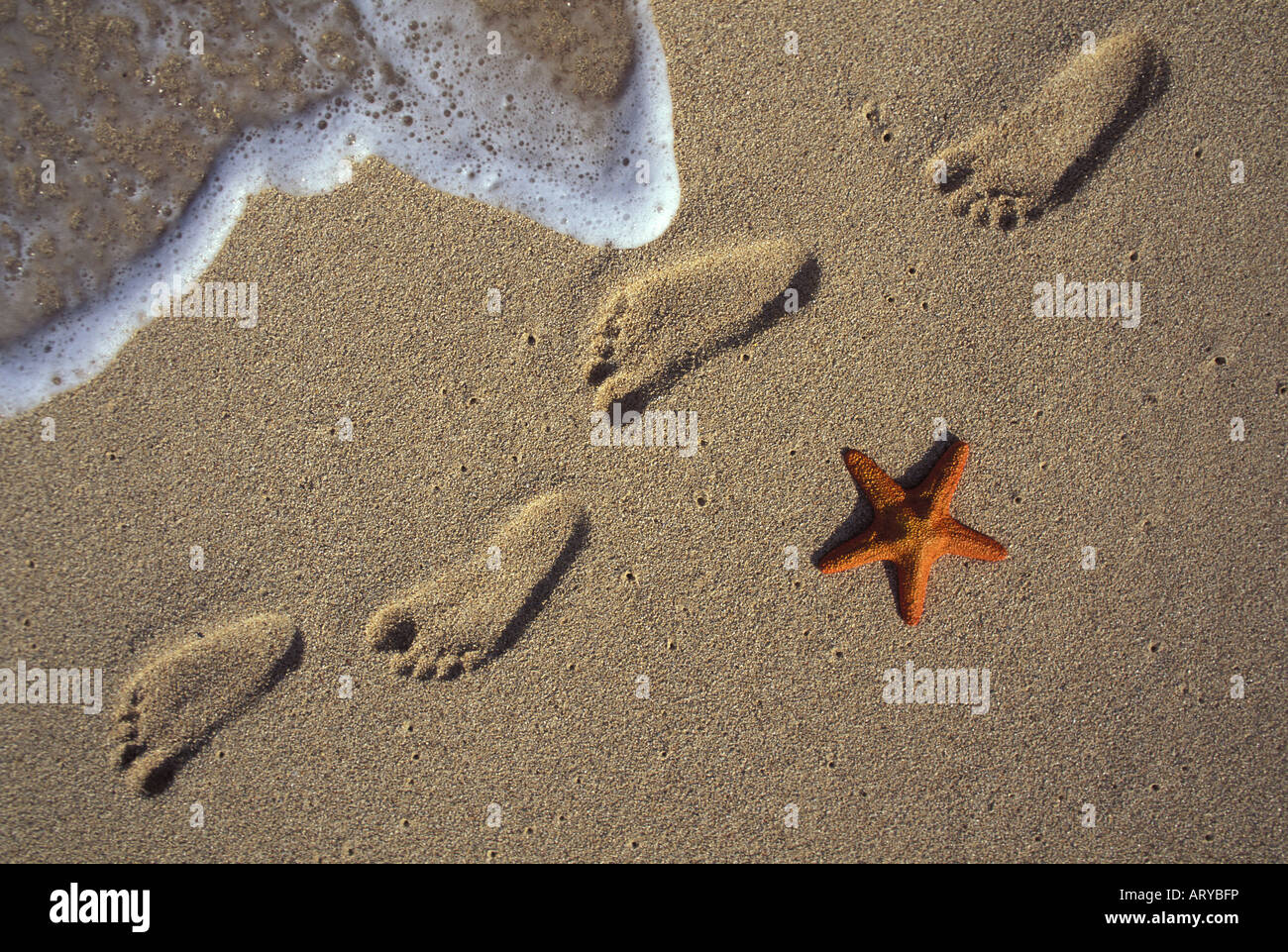Footprints and starfish in the sand with small wave lapping up on shore ...