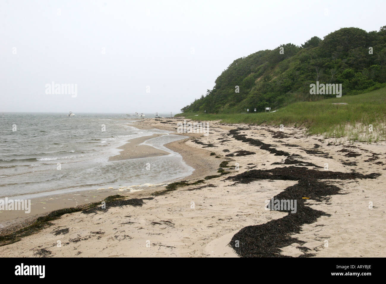 Stormy seashore at Monomoy National Wildlife Refuge, Morris Island ...