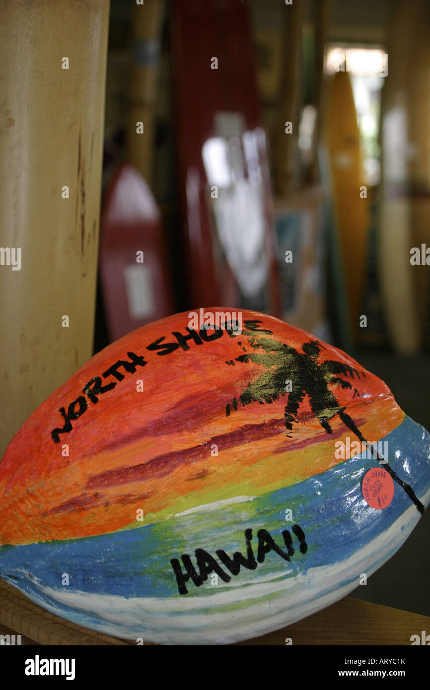 A coconut colorfully painted with the words "North Shore Hawaii. Photo ...