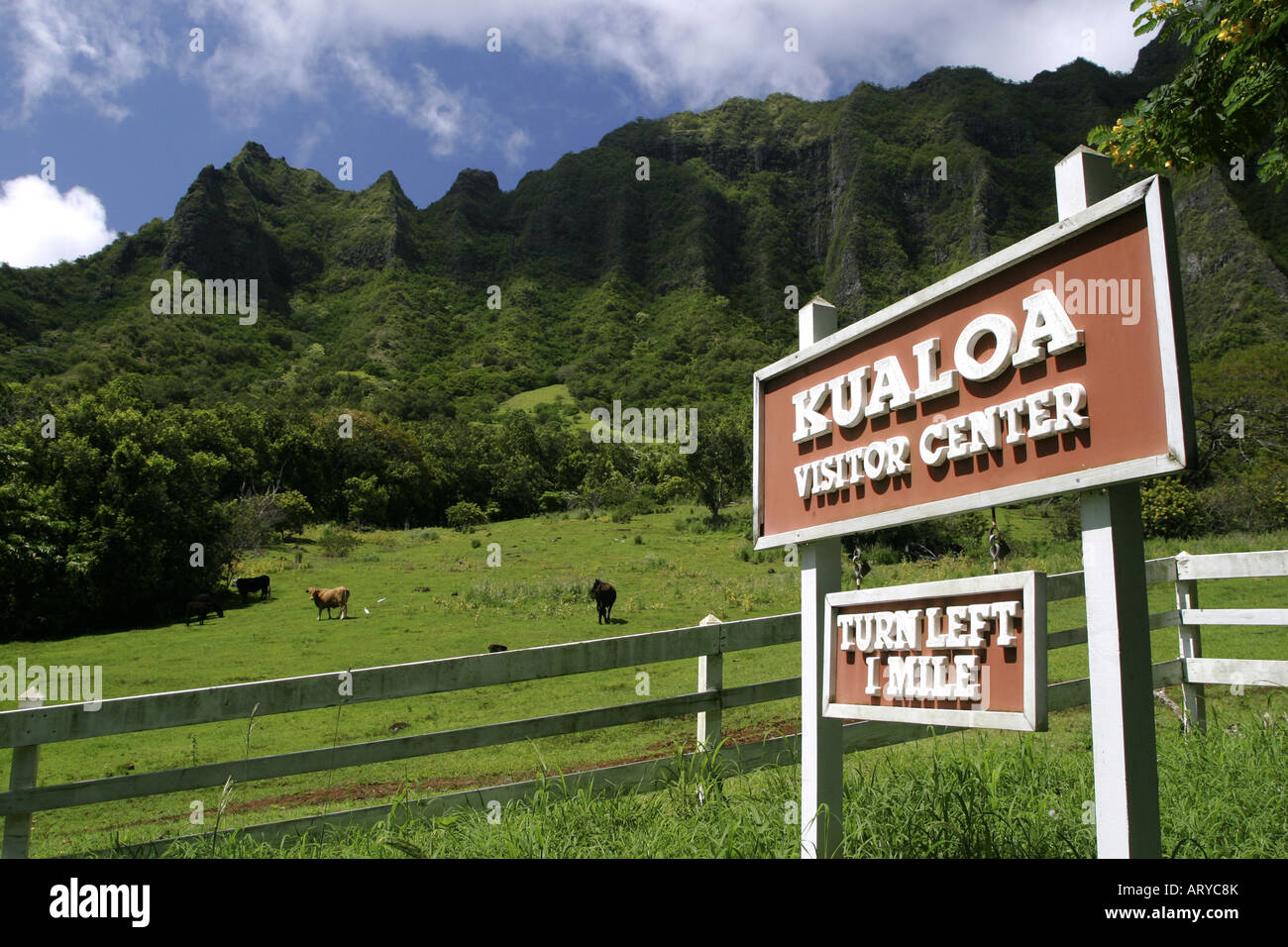 Kualoa Ranch. Located along the eastern coastline of Oahu just past the ...