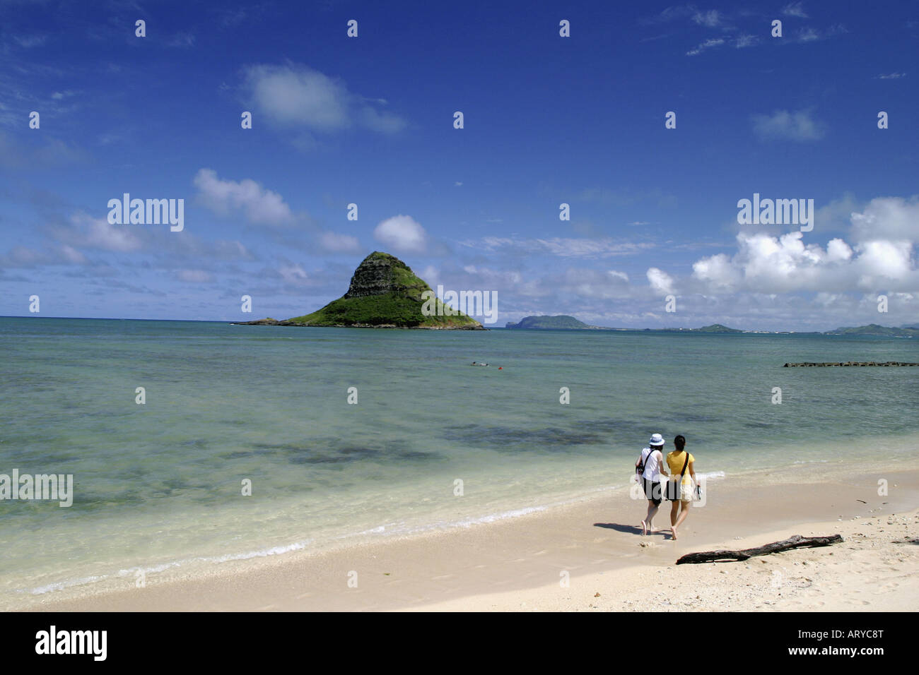 Chinamans Hat(Mokolii island)is a distinguished landmark and tourist ...