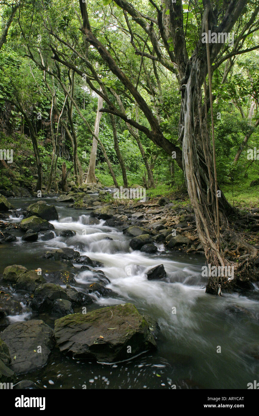 Scenic streams and waterfalls just below Kapena Falls near the Pali ...