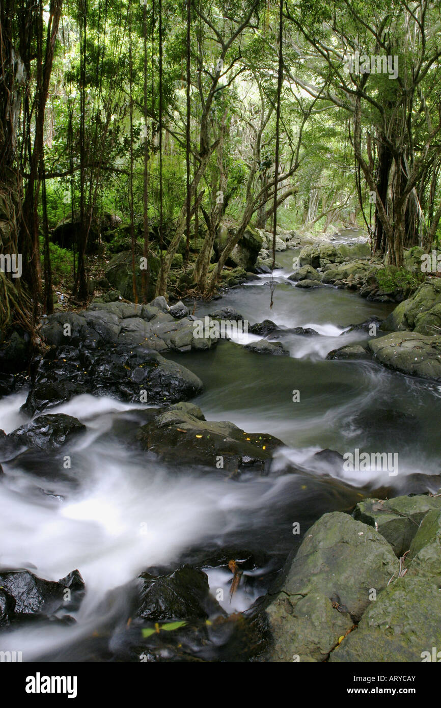 Hawaii pali highway oahu hi-res stock photography and images - Alamy