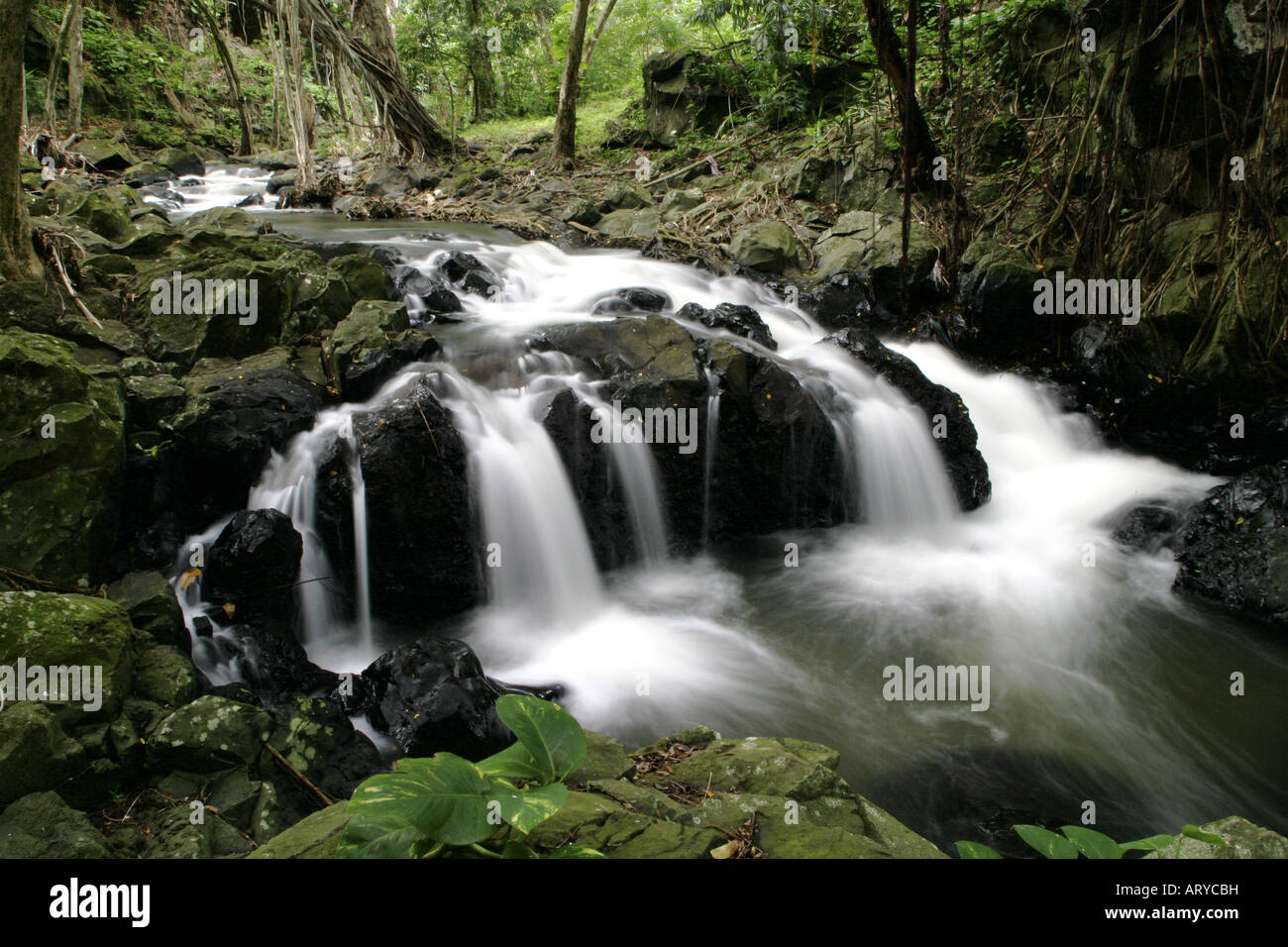 Pali highway hi-res stock photography and images - Alamy