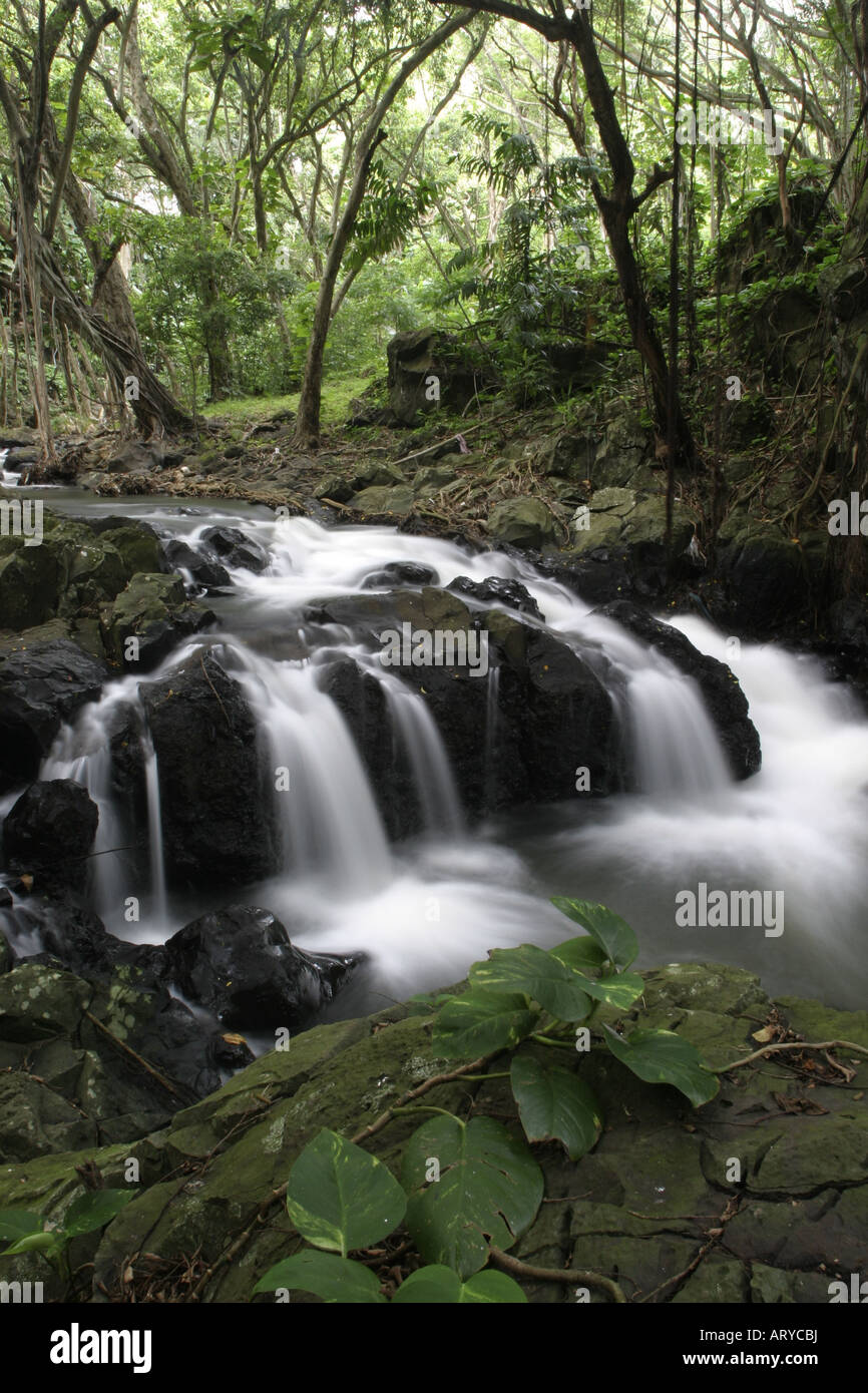 Scenic streams and waterfalls just below Kapena Falls near the Pali ...