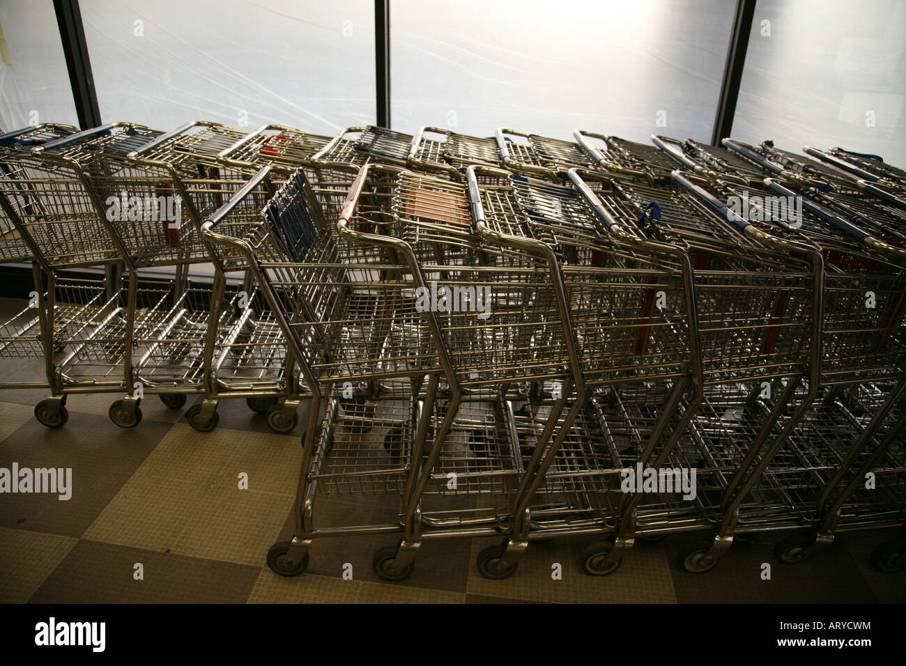 grocery carts lined up in rows Stock Photo - Alamy